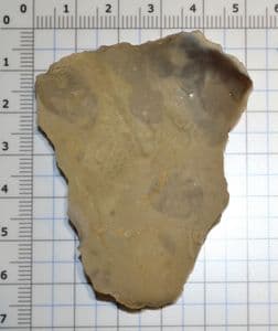 A rare and very large Early Neolithic "Tranchet" Tranverse Chisel ...