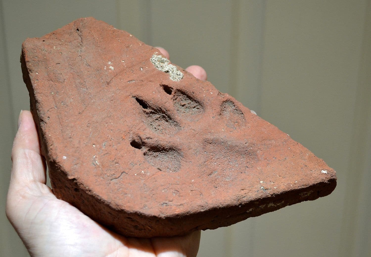 A rare huge and heavy Roman brick tile featuring a superbly detailed ...