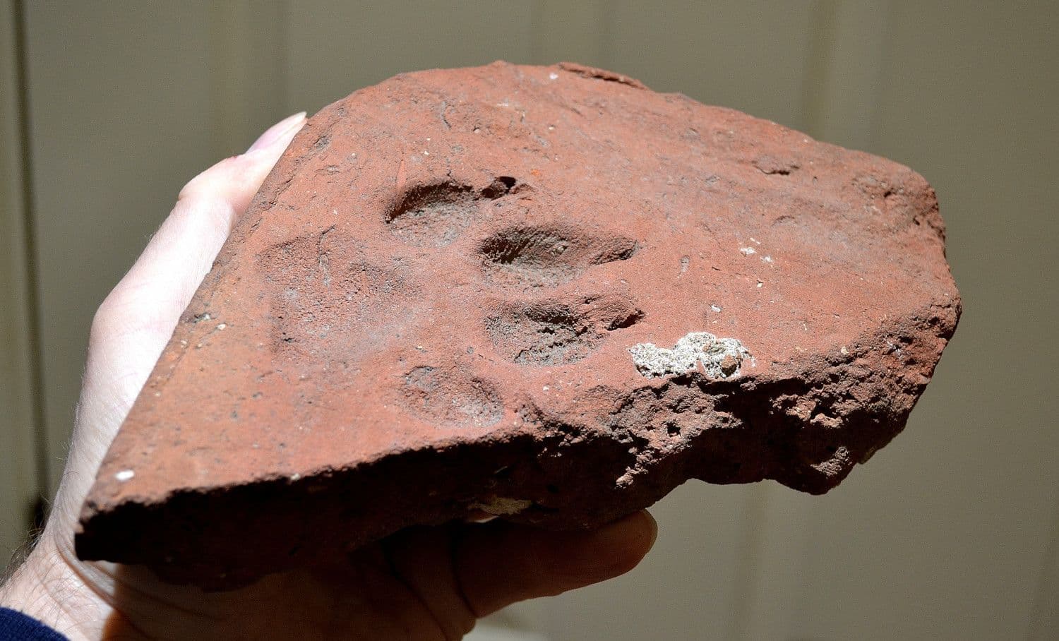 A rare huge and heavy Roman brick tile featuring a superbly detailed ...