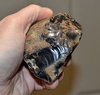 A rare large and attractive Early Lower Paleolithic flint Pebble ...