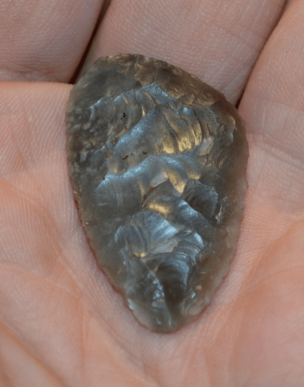 A small but beautifully pressure flaked Neolithic ovate flint knife ...