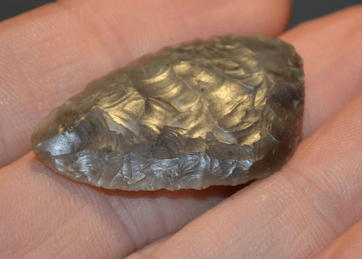A small but beautifully pressure flaked Neolithic ovate flint knife ...