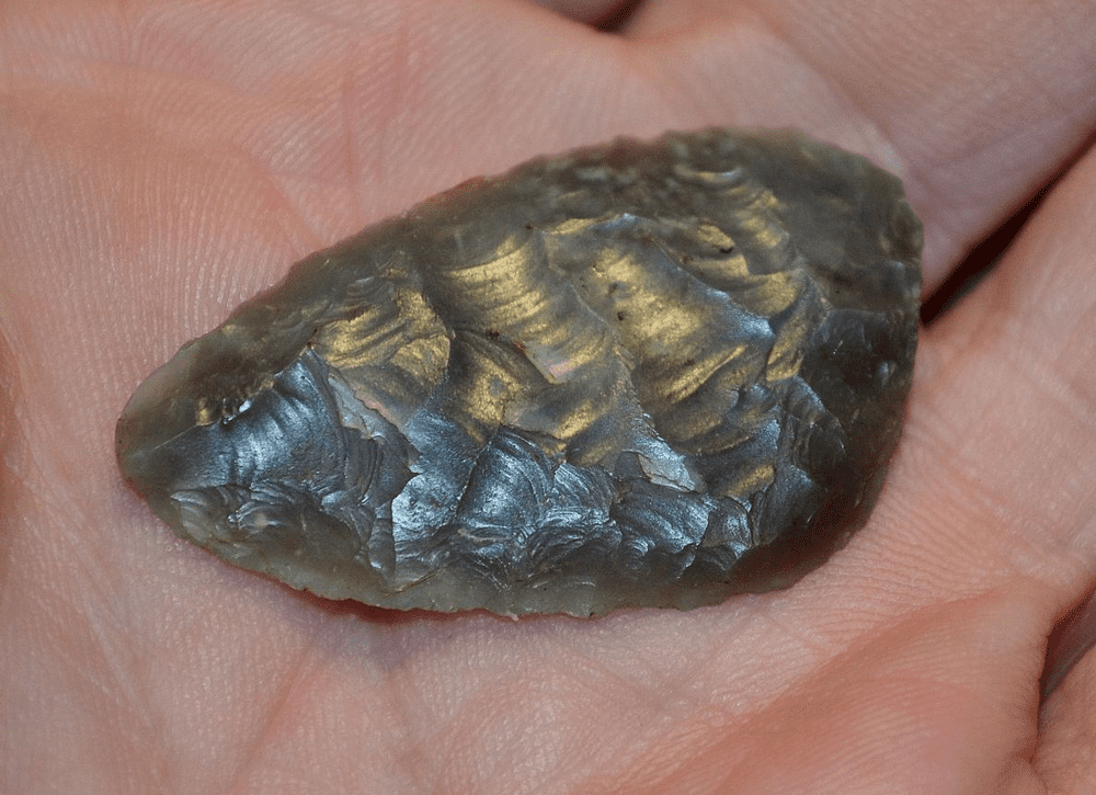 A small but beautifully pressure flaked Neolithic ovate flint knife ...