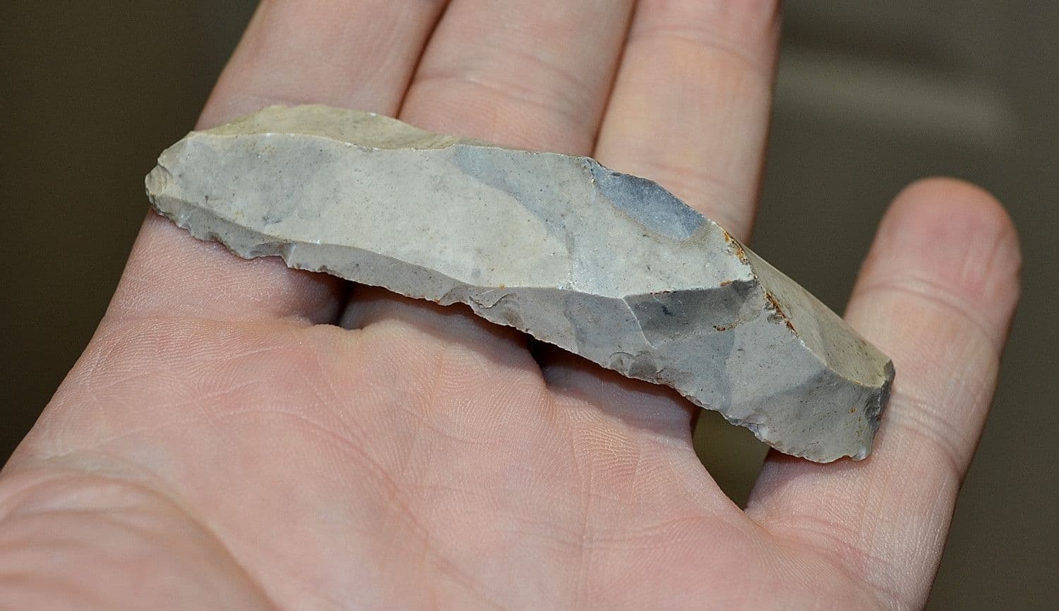 An excellent Early Neolithic flint knife / sickle found Holbury ...