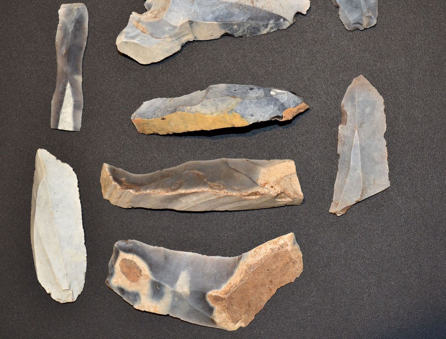 An excellent value group of 11 x assorted Mesolithic flint blades ...