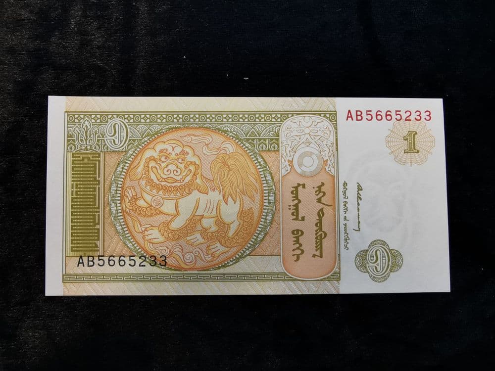 Mongolia One Togrog 1993 UNC BKN1534
