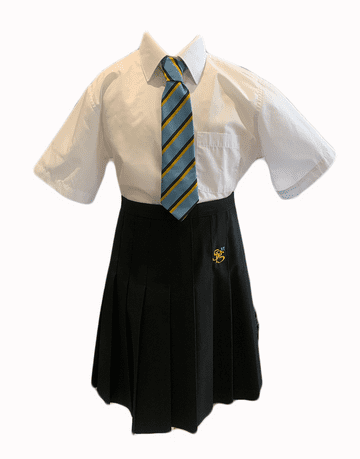 The Sweyne Park School