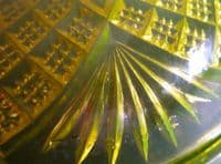 Superb Rare Davidson s Yellow Pearline Glass Lords and Ladies Covered ...