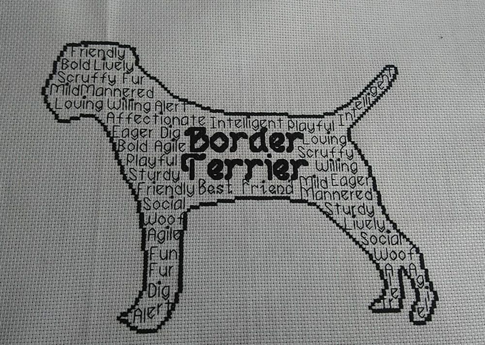 Border Terrier In Words