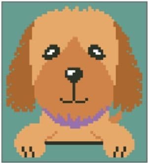 Cockapoo Quick Stitch