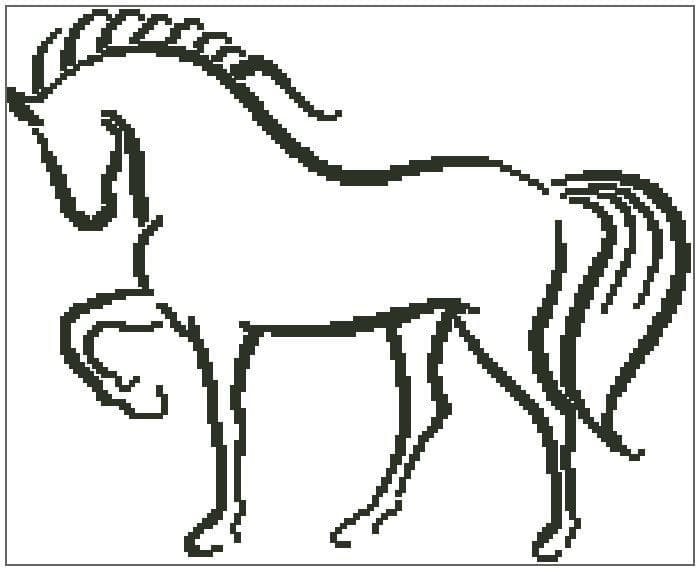 Horse Outline
