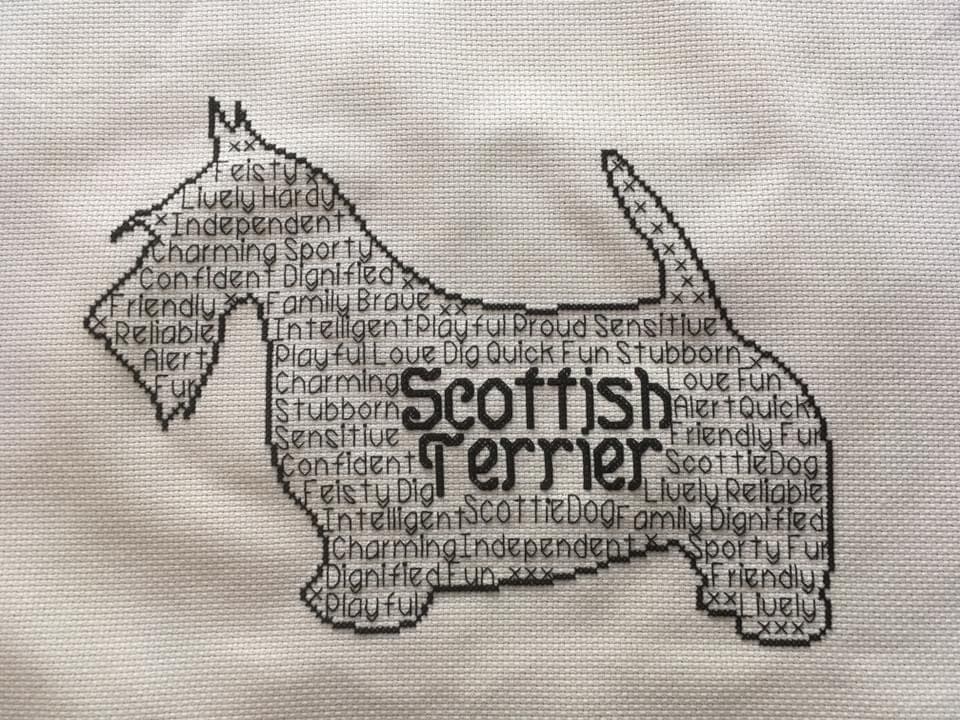Scottish Terrier In Words