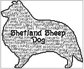 Shetland Sheep Dog In Words