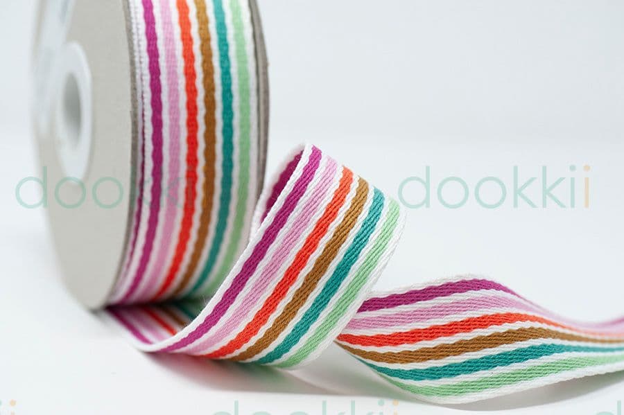 38mm Light Rainbow Webbing