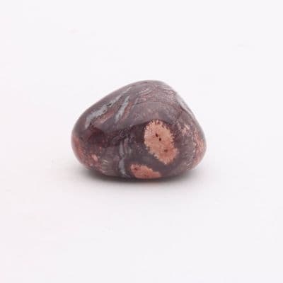 Birds Eye Jasper | Crystals For Healing | KSC Crystals