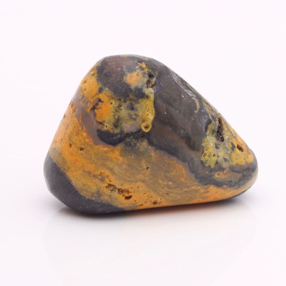 Bumblebee Jasper