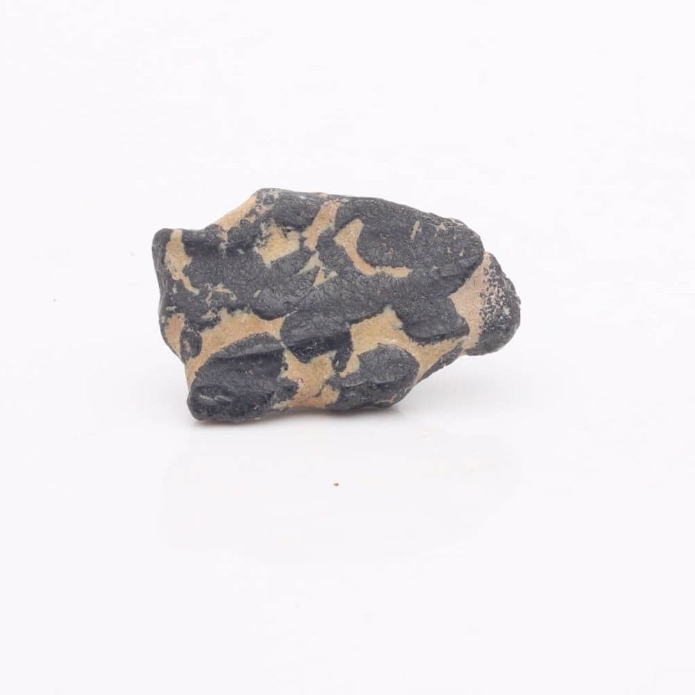 Chrome Spinel in Green Dunite 29