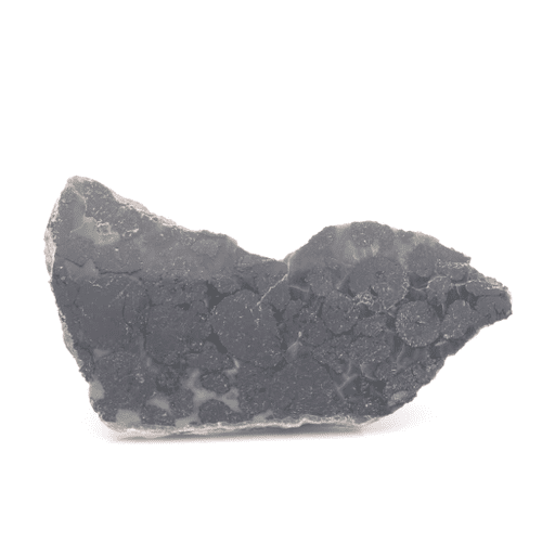 Chrome Spinel in Green Dunite 4