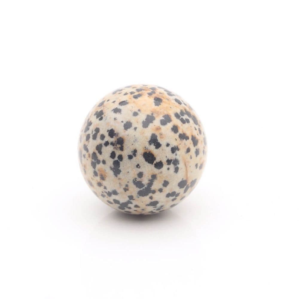 Dalmatian Jasper Sphere | KSC Crystals