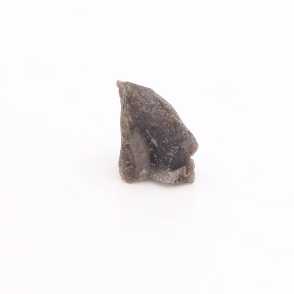 Darwinite Tektite
