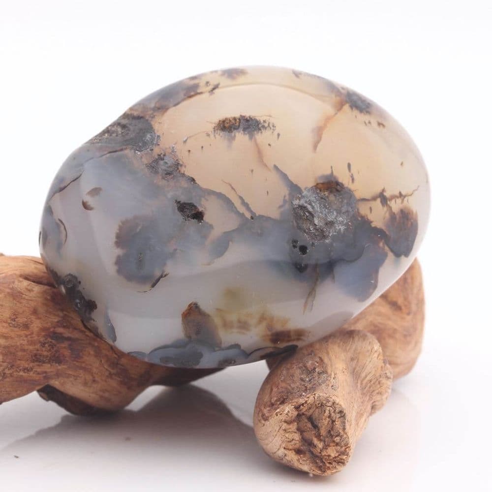 Dendritic Agate | Crystal Healing