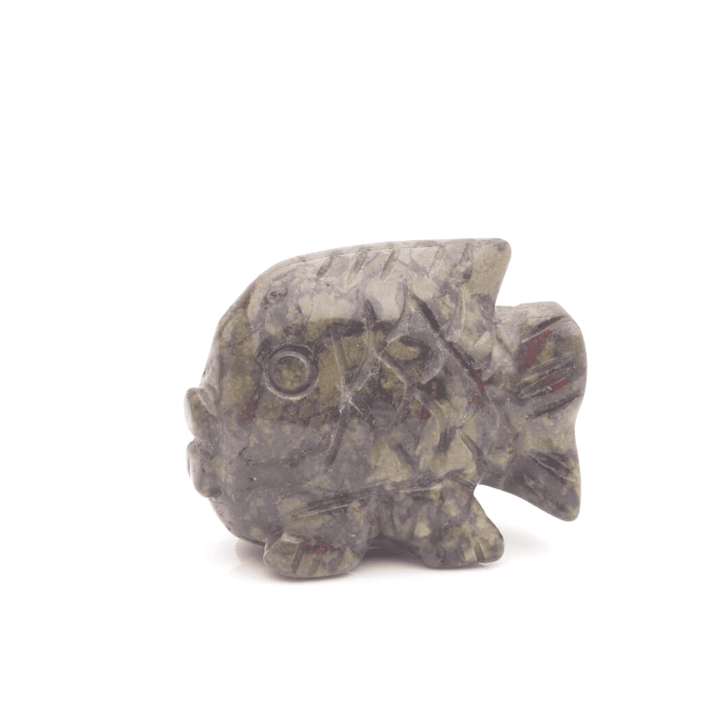Dragon Blood Jasper Fish 2