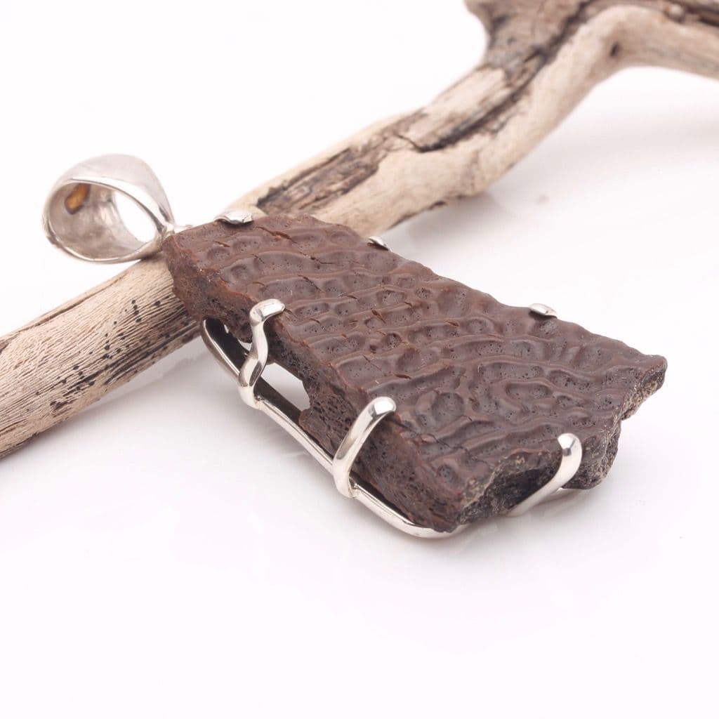 Fossil Turtle Shell Pendant