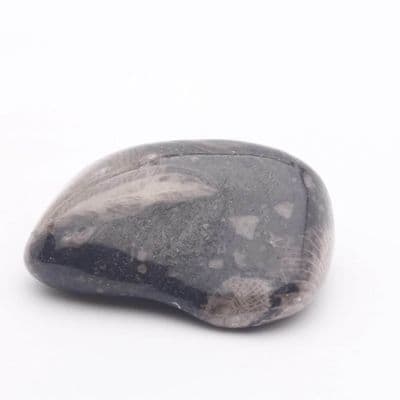 Frosterley Marble | Crystals For Healing | KSC Crystals