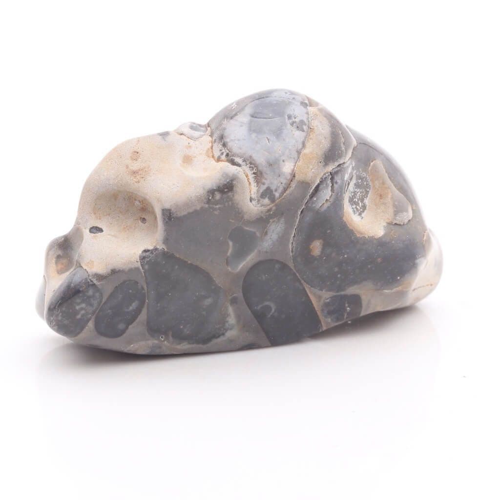 Puddingstone | KSC Crystals