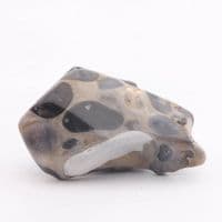 Puddingstone | KSC Crystals
