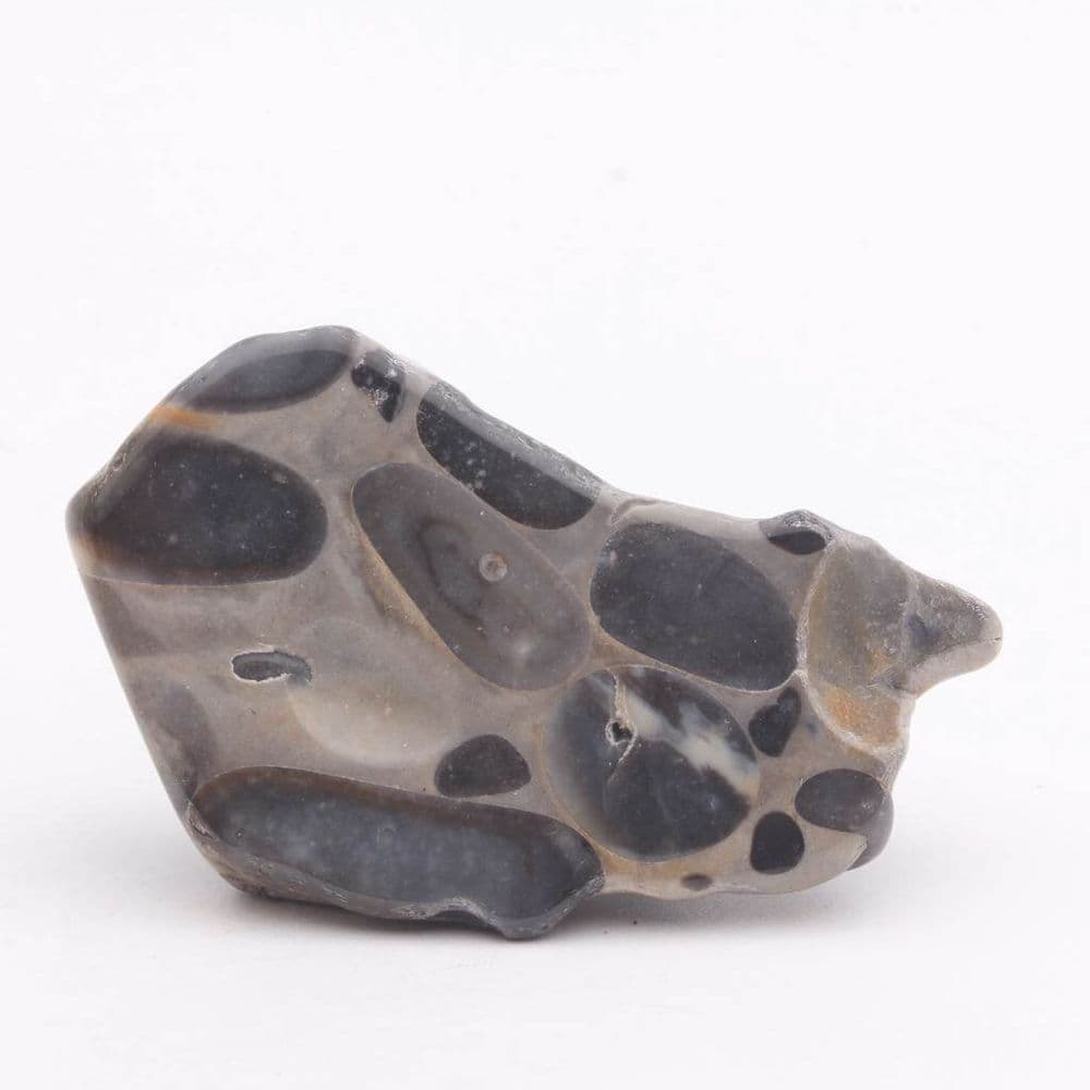 Puddingstone | KSC Crystals