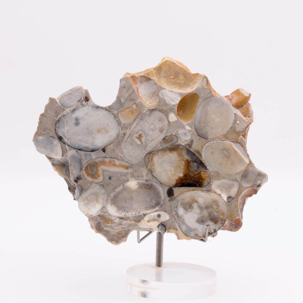 Puddingstone | KSC Crystals