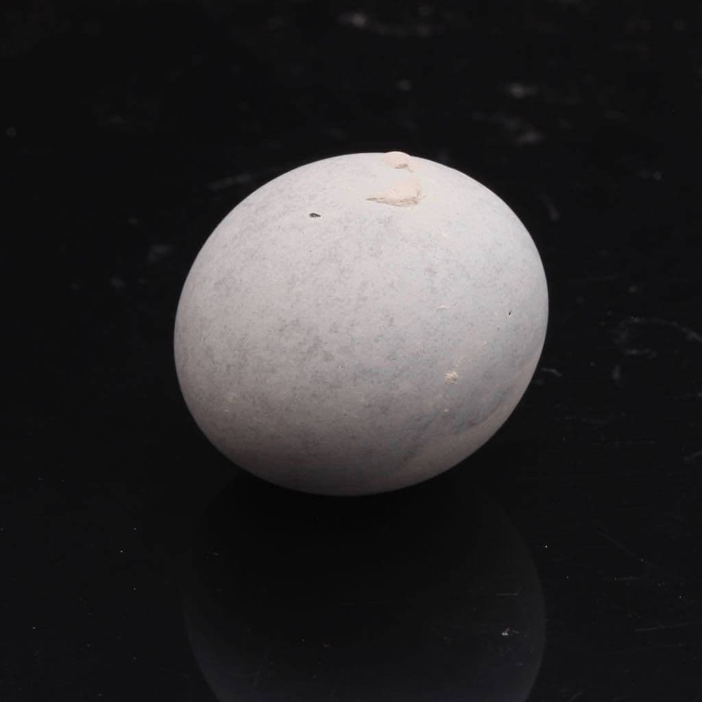 Menalite