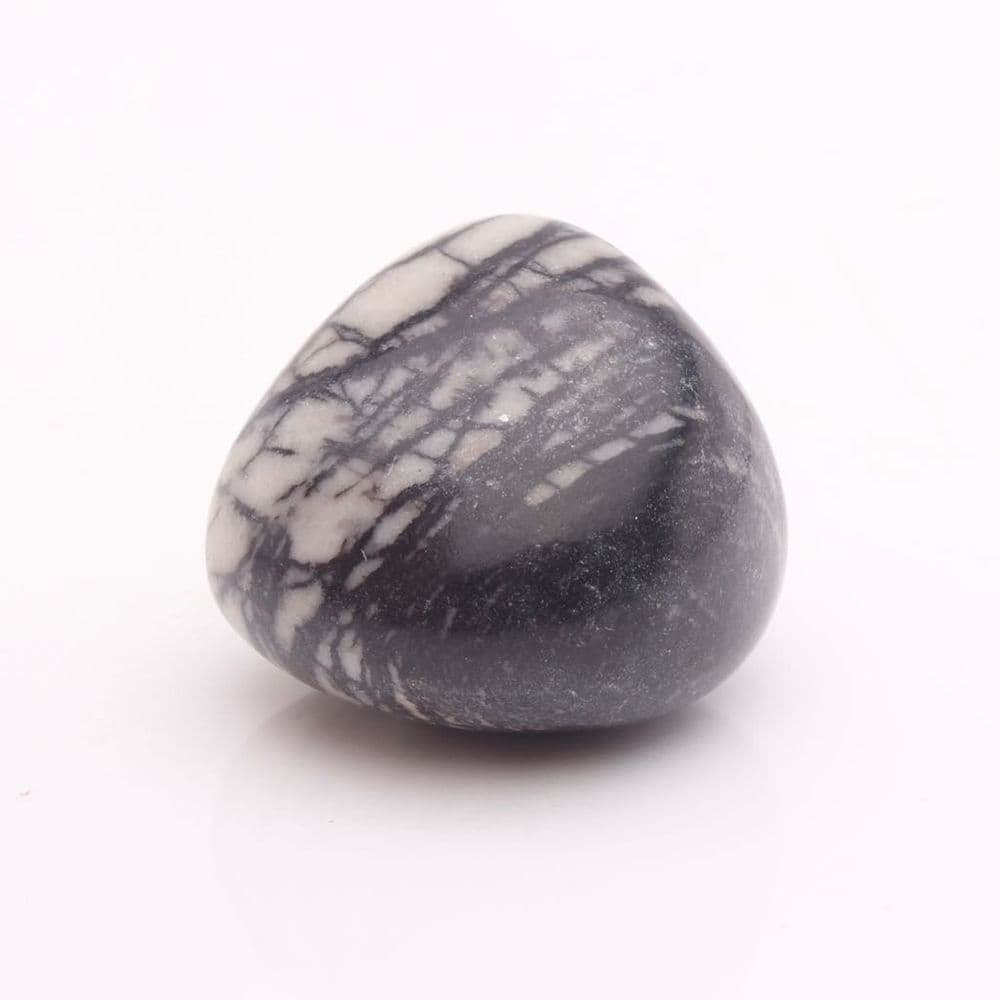 Net Jasper 2
