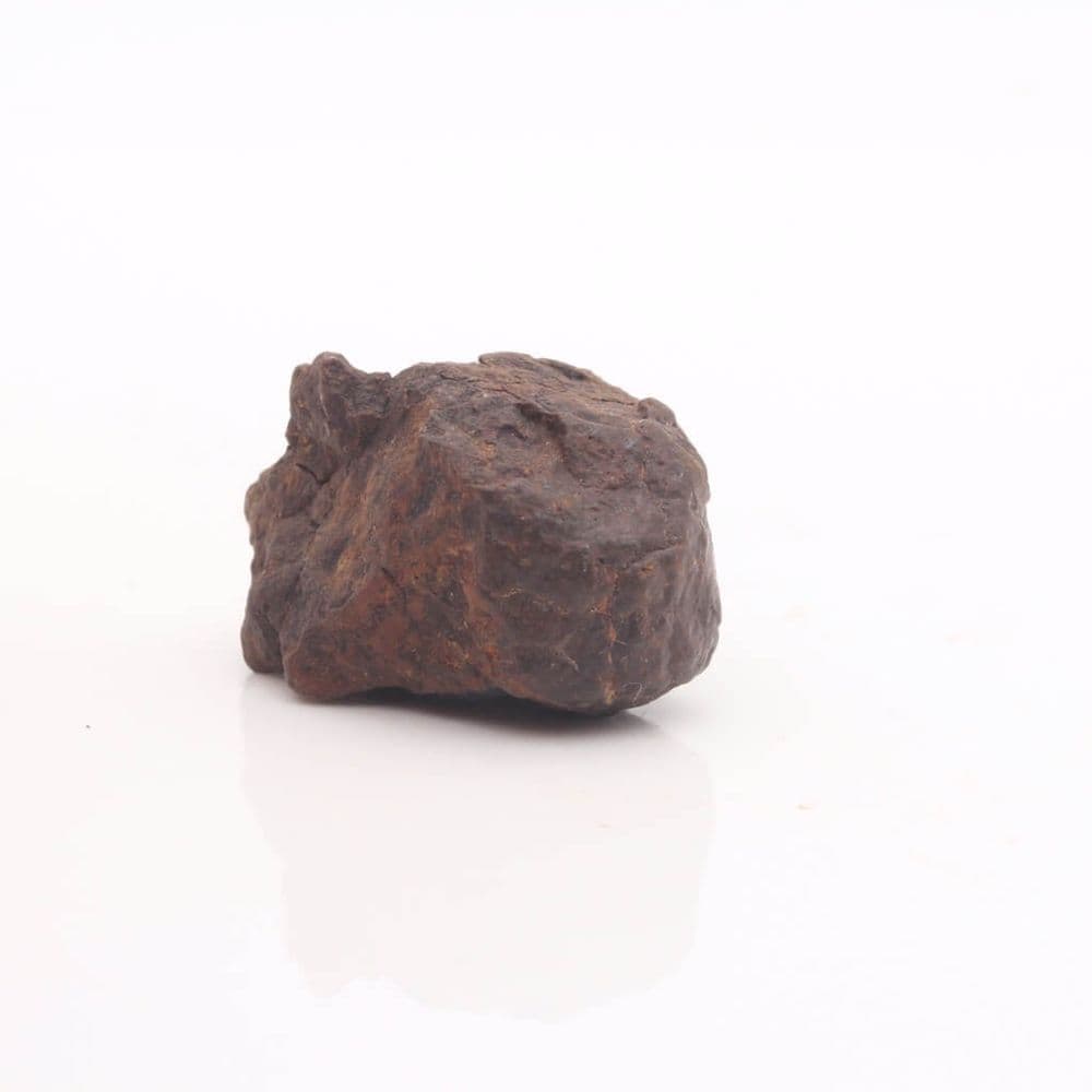 NWA 869 Stony Meteorite