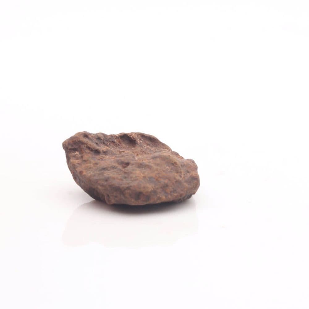 NWA 869 Stony Meteorite