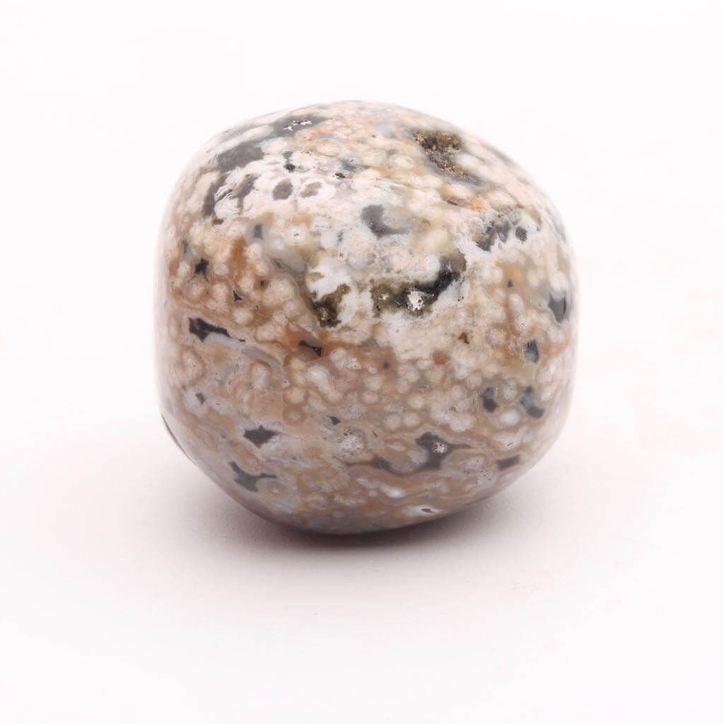 Orbicular Jasper