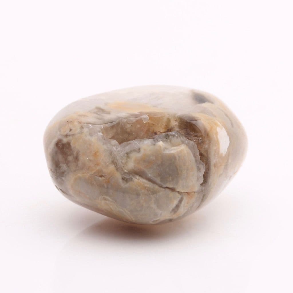 Orbicular Jasper