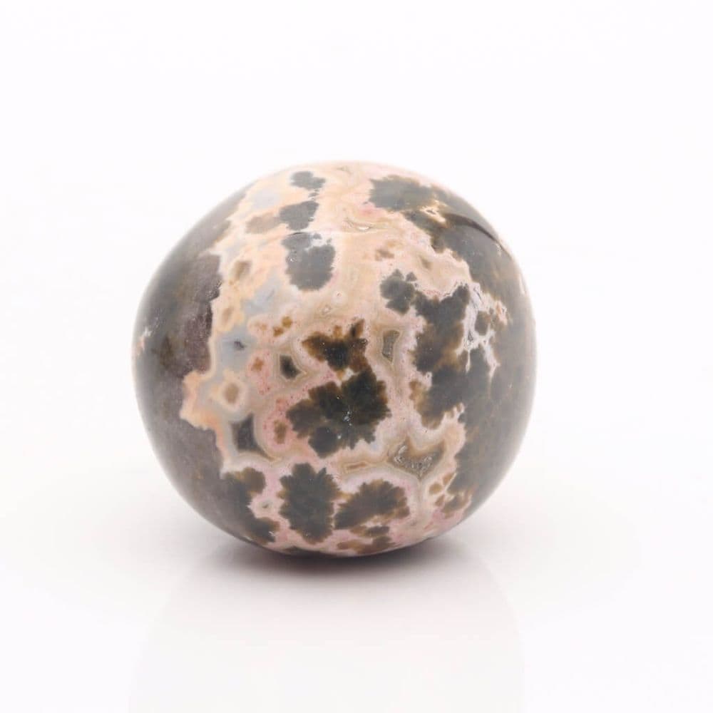 Orbicular Jasper