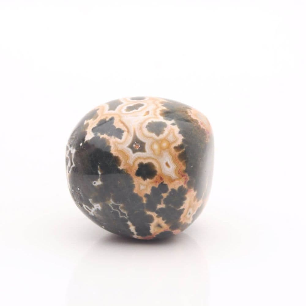 Orbicular Jasper