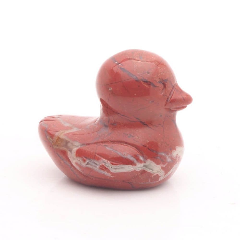 Red Jasper Duck 6