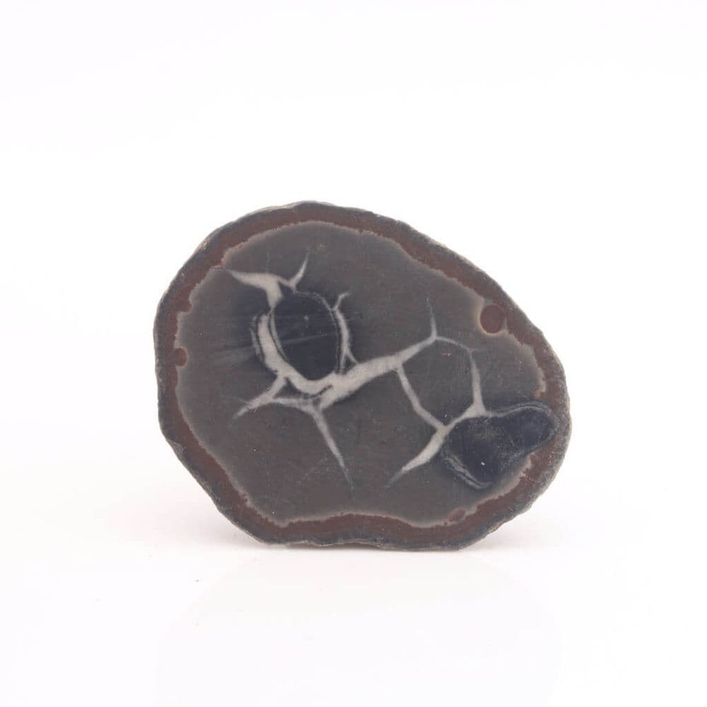 Septarian Concretion