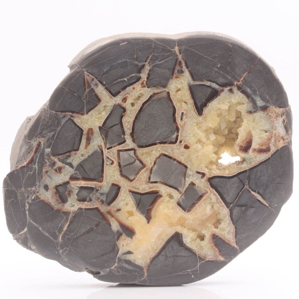 Septarian Nodule | KSC Crystal
