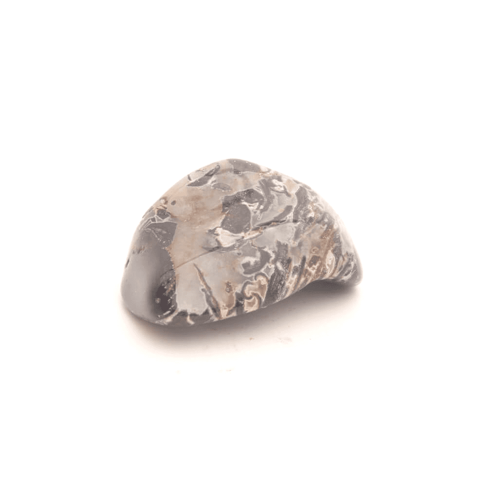 Silver Leaf Jasper