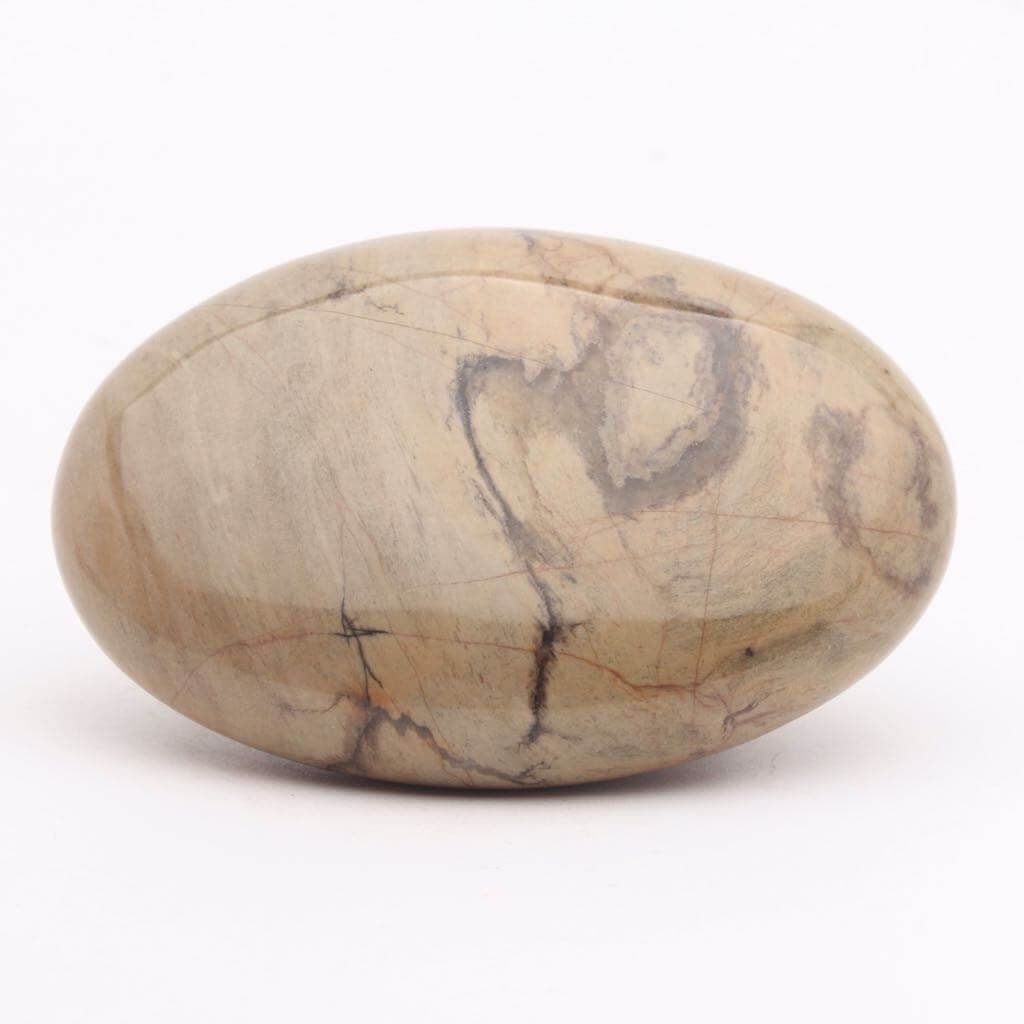Silver Leaf Jasper