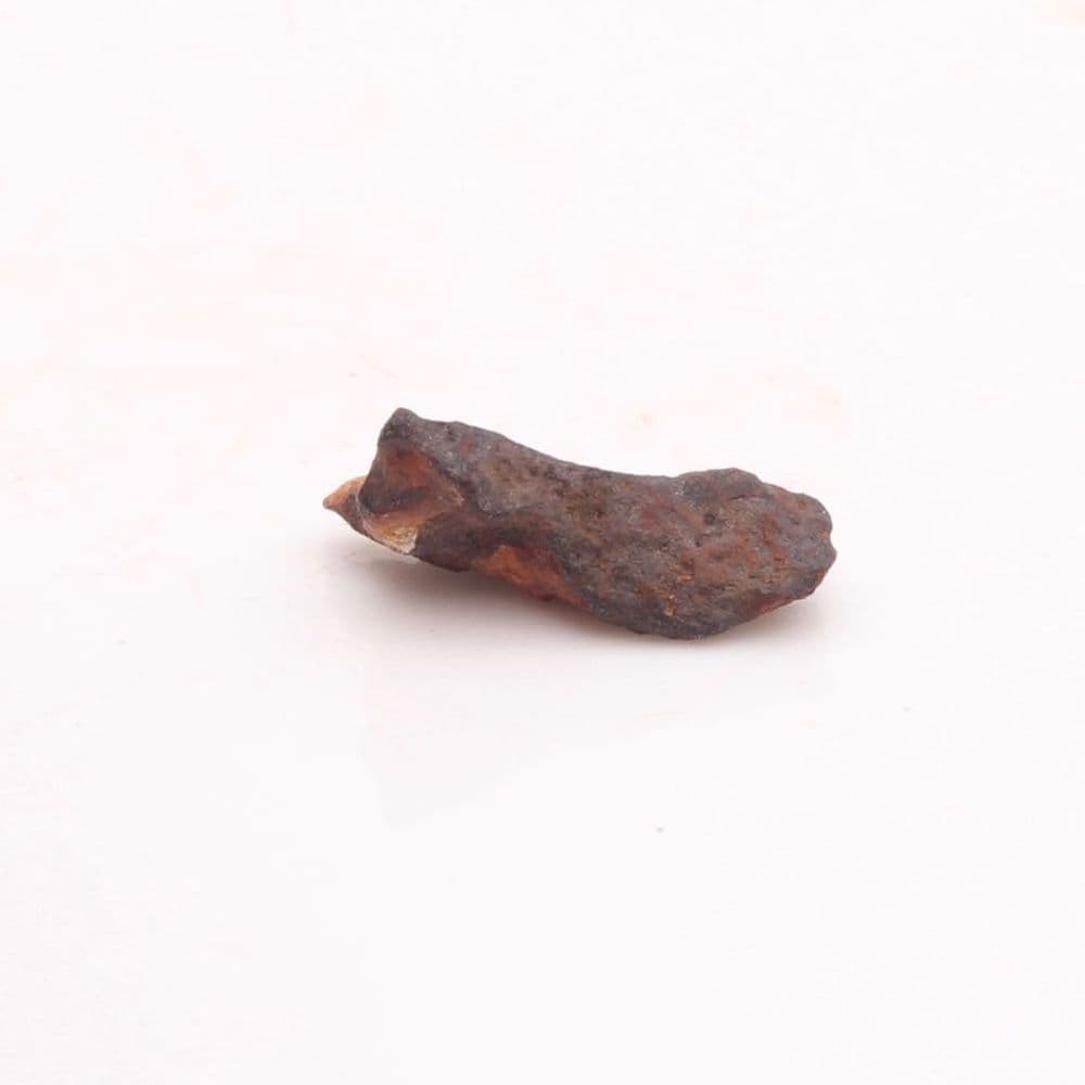 Stony-Iron Meteorite