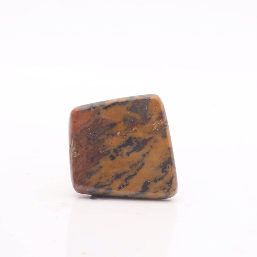 Tiger Tail Jasper