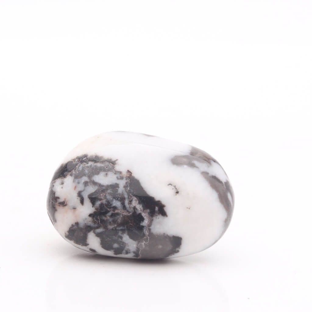 Zebra Jasper