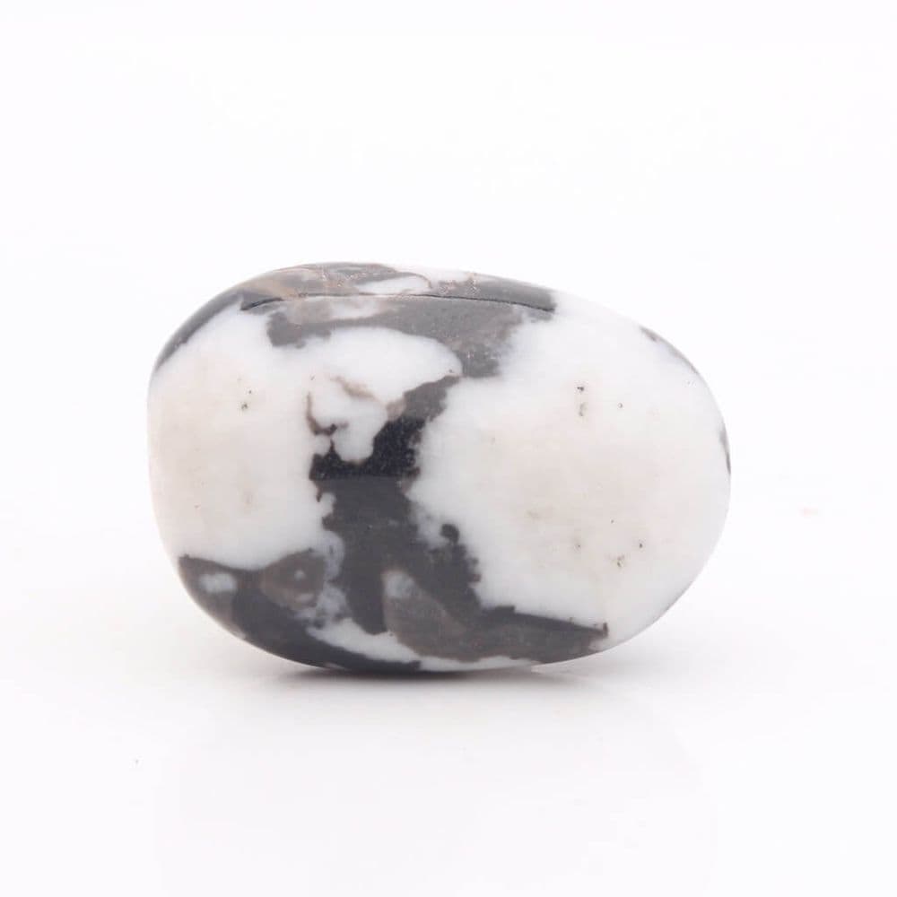 Zebra Jasper