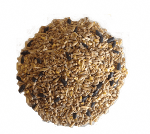 WILD BIRD ECONOMY MIX 20KG